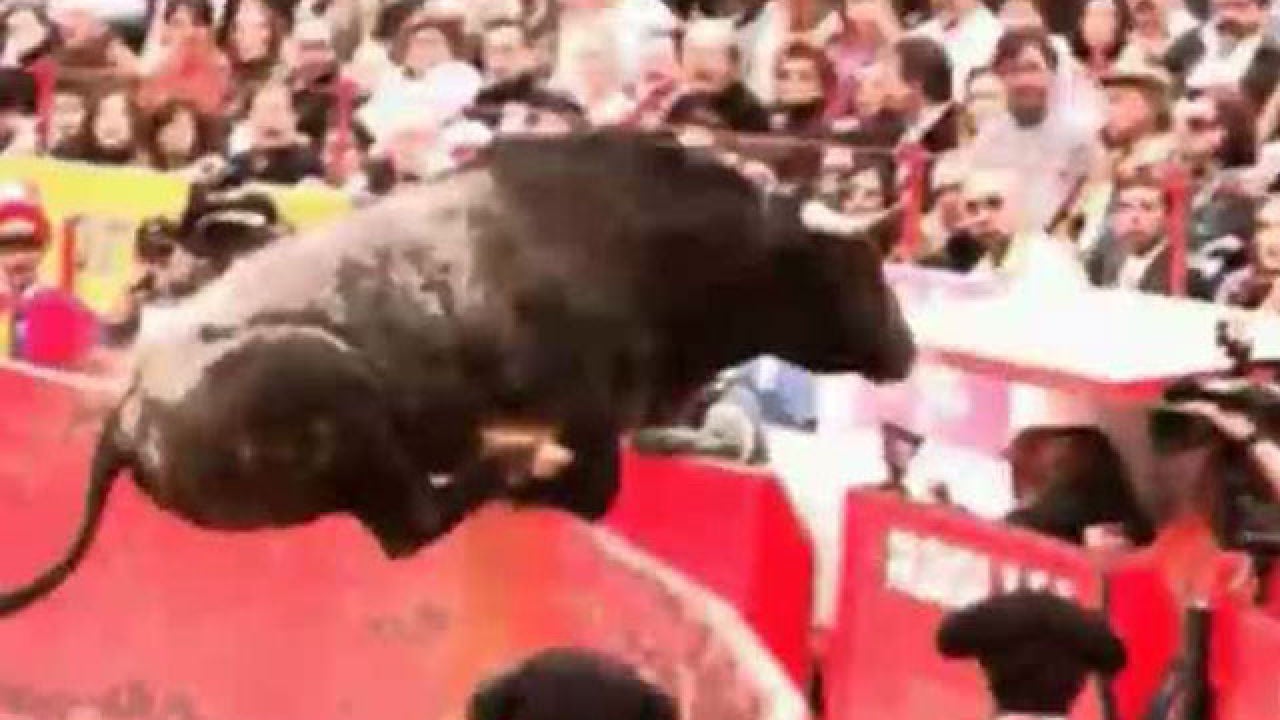 El salto del toro "Pajarito" da pie a un libro