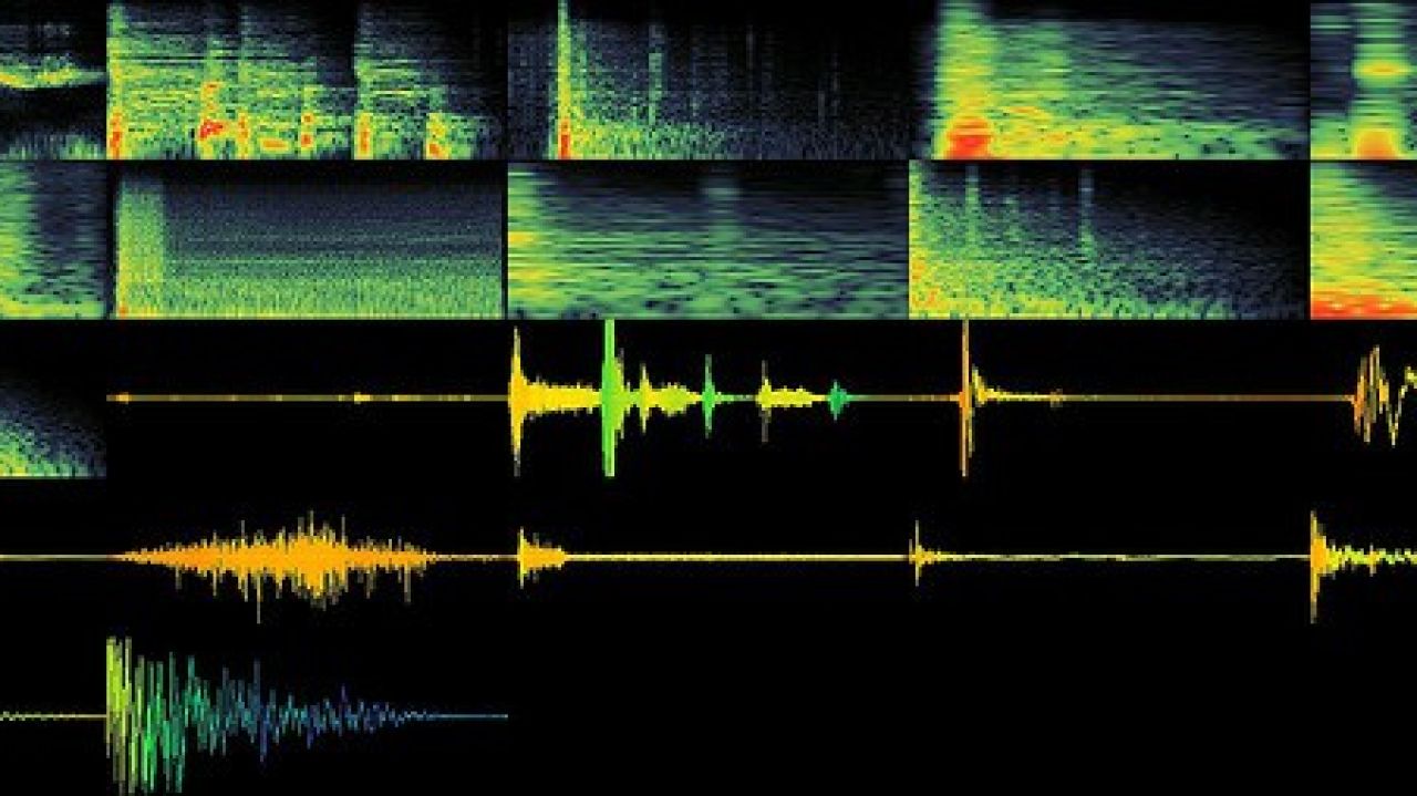 Crean un detector de emociones en la voz que es más preciso que el ser ...