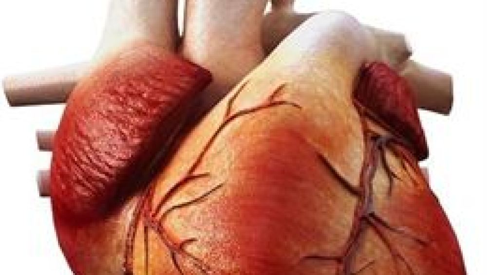 Crean un desfibrilador implantable que restaura el ritmo cardiaco sin ...