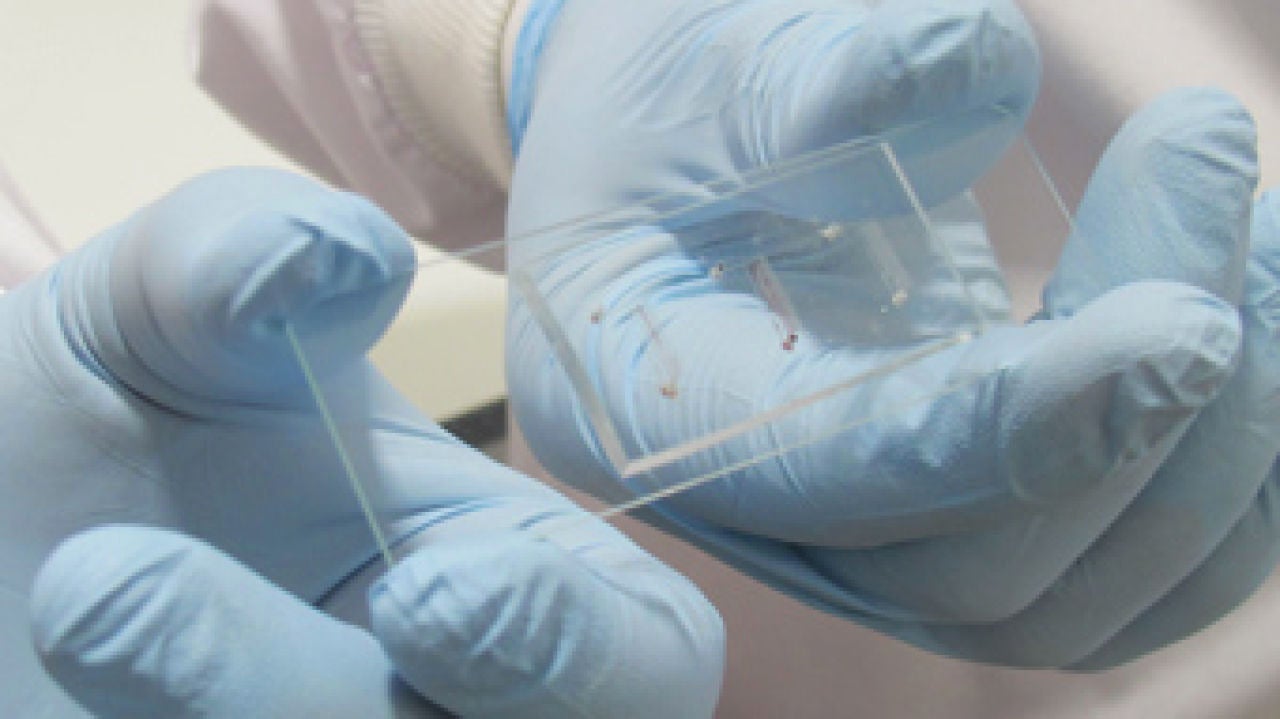 Una empresa belga implanta un chip bajo la piel a ocho empleados