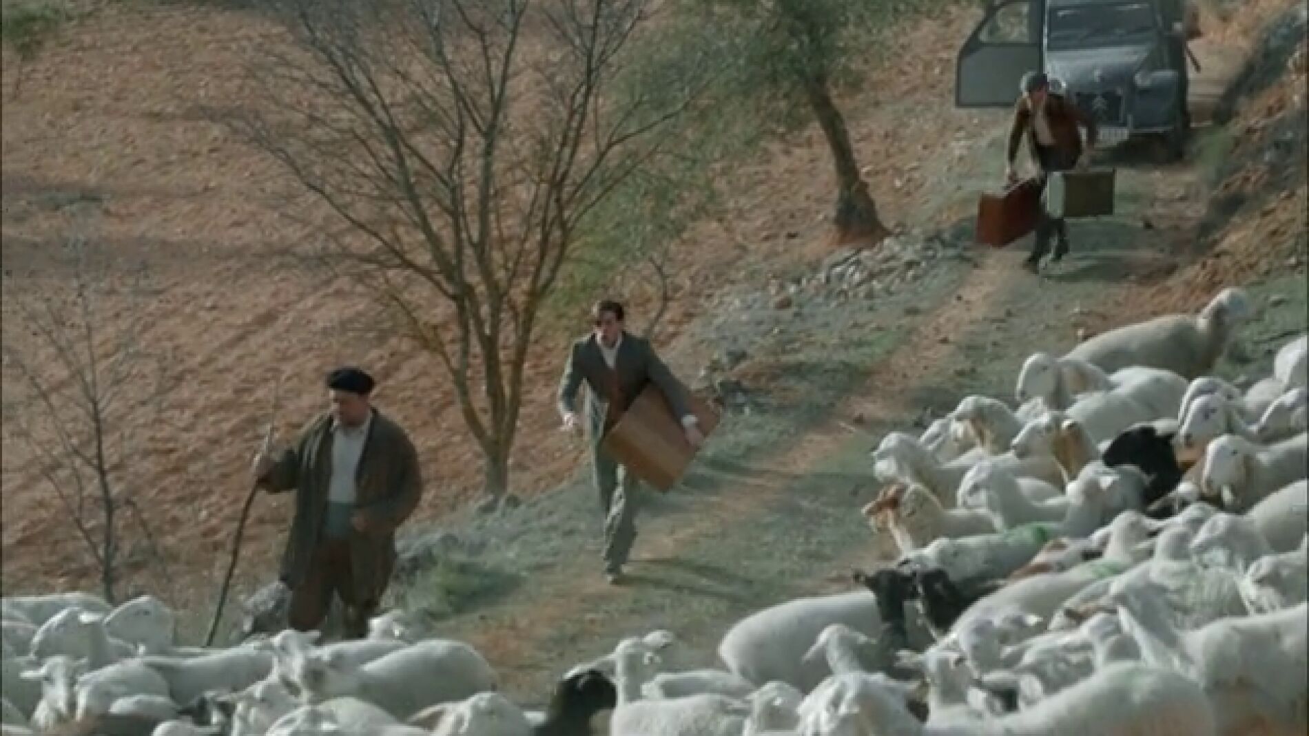 Pedro, Jonás, Luisa y Ana llegan a tiempo a la boda por los pelos