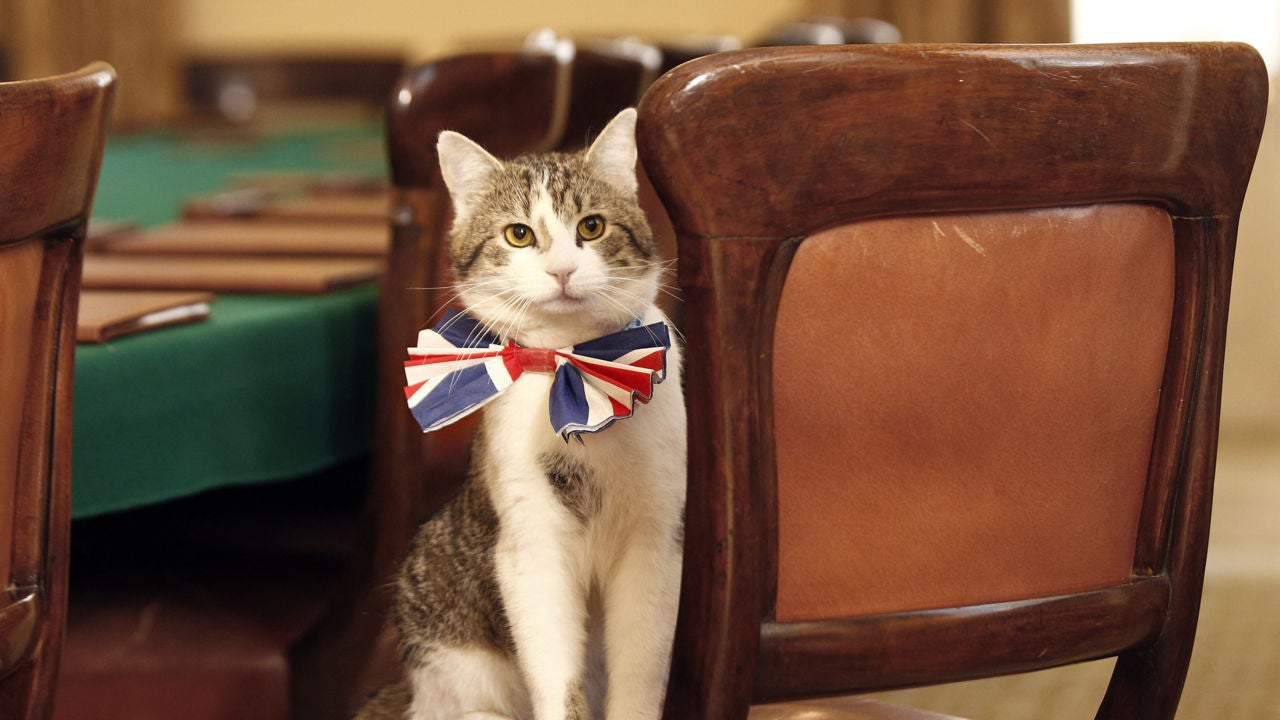El gato Larry se queda en el 10 de Downing Street