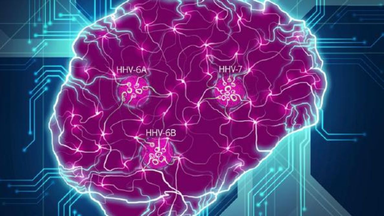 Descubren que un desequilibrio de pH en el cerebro puede ser causa de ...