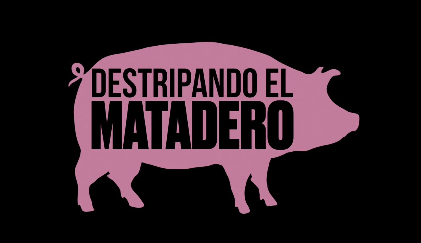 SERIES | Matadero | Web oficial de la serie española Matadero de Antena ...
