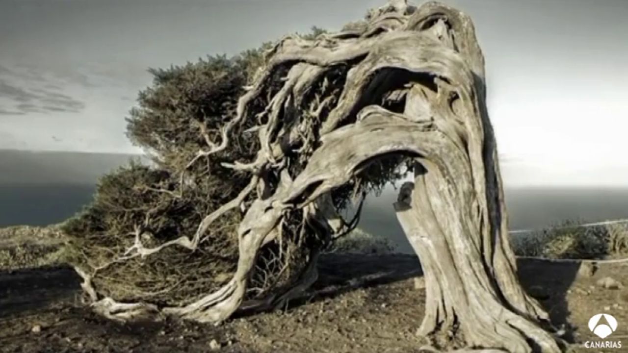 José Julio Cabrera recoge los secretos de La Sabina