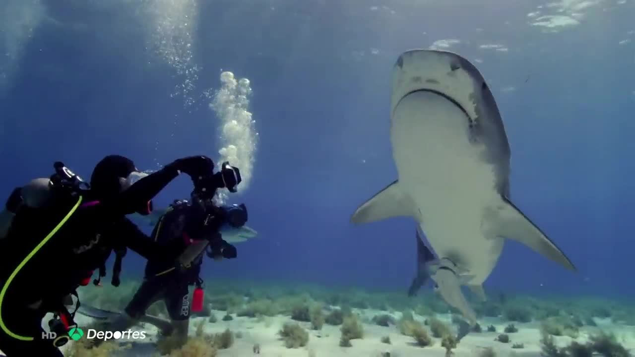 De perder la pierna por el ataque de un tiburón a enfrentarse a sus ...