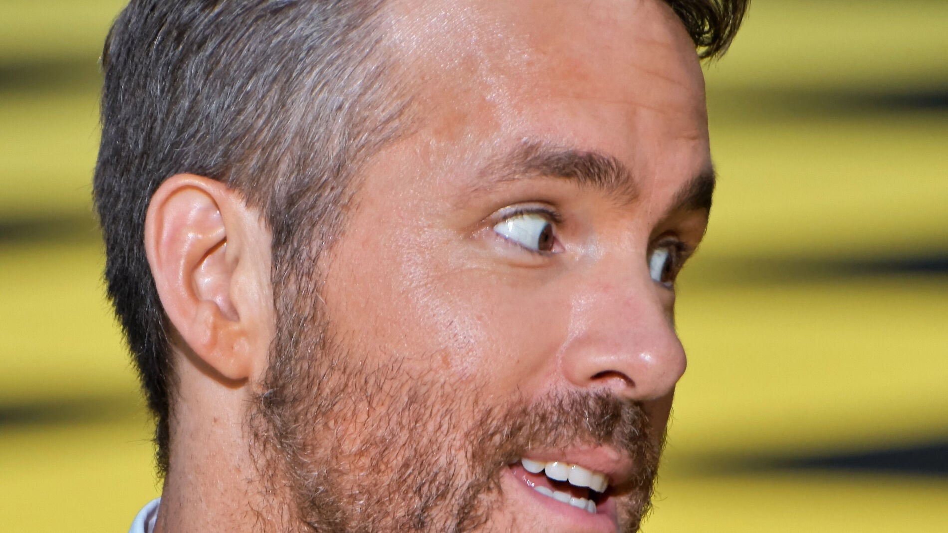 La foto de Ryan Reynolds junto a un héroe de 'Stranger Things' que ha ...