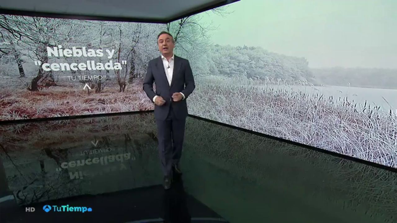 La cencellada o las burbujas congeladas, las curiosas imágenes que deja ...