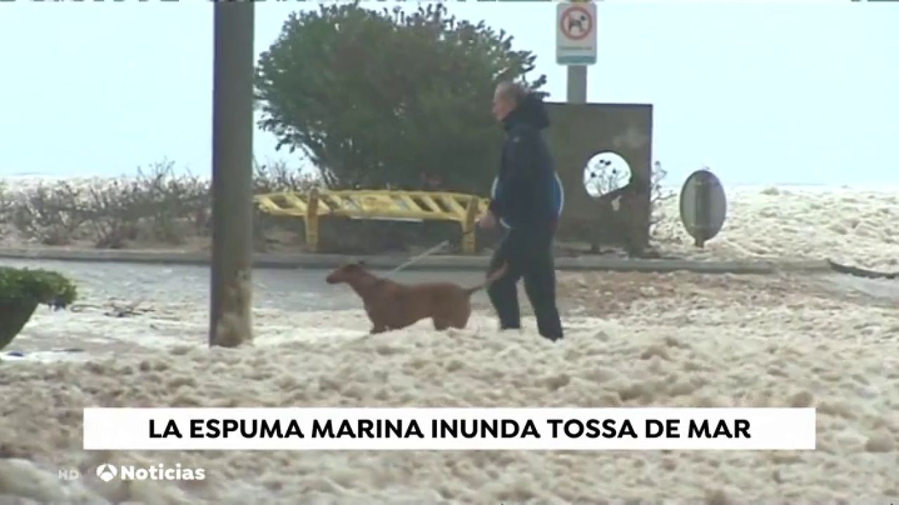 ¿Cómo se genera la espuma marina que ha inundado las calles de Tossa ...