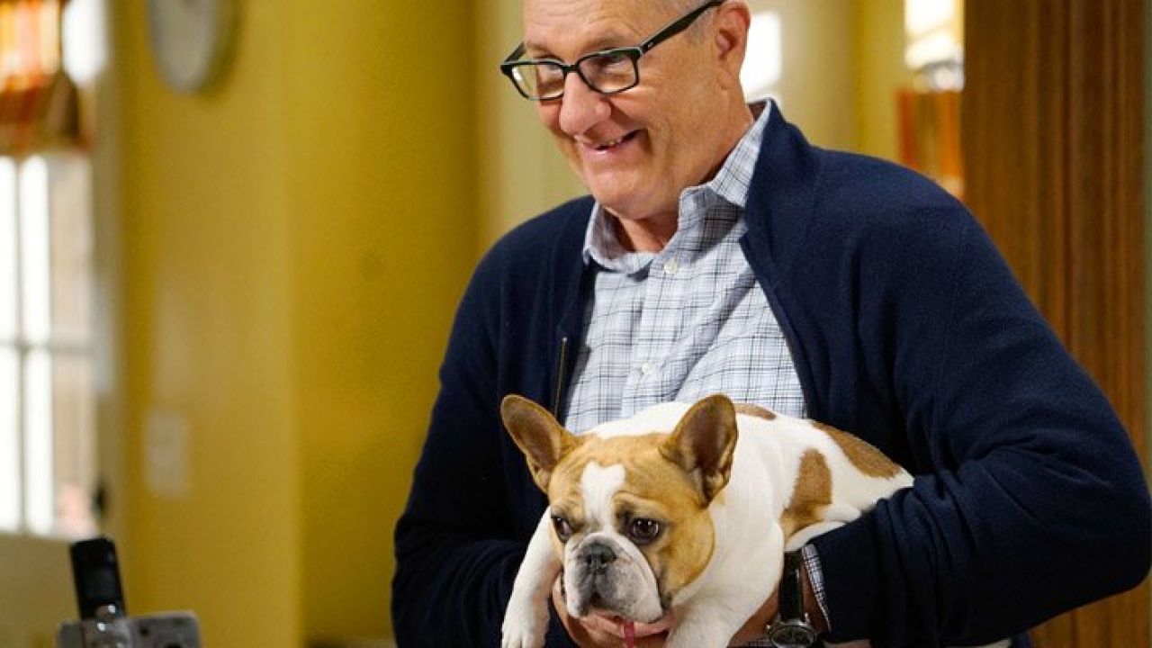 Muere Stella, la bulldog francés de 'Modern Family', tras el final de ...