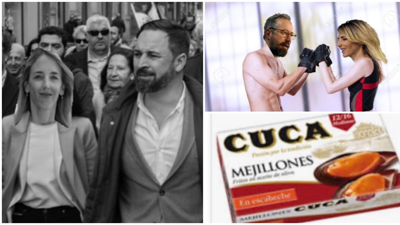 Los mejores memes de la destitución de Cayetana Álvarez de Toledo