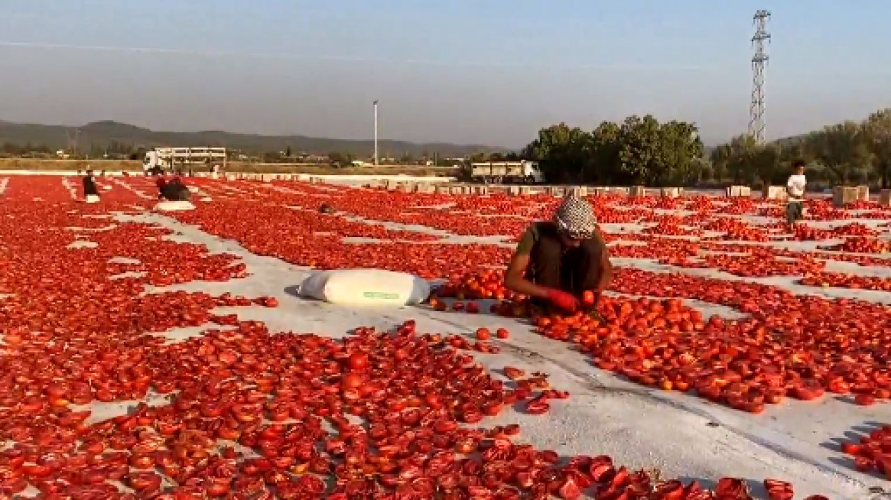 Estos son los tomates secos de Turquía que triunfan en la cocina ...