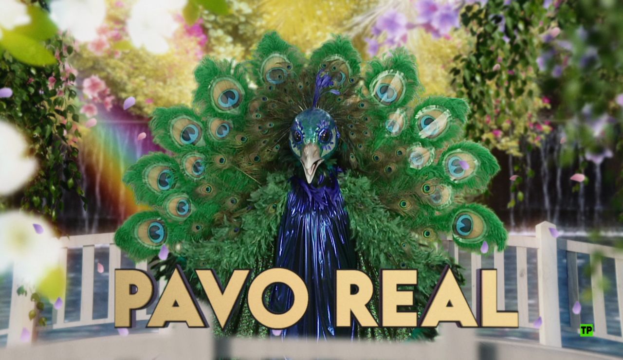 La máscara del Pavo Real de 'Mask Singer'