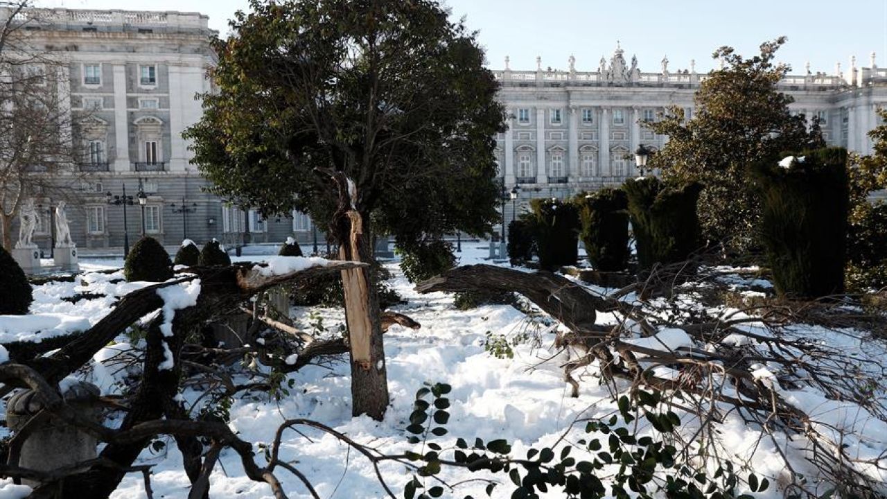 Dos años desde las históricas nevadas de Filomena, que vistieron a ...