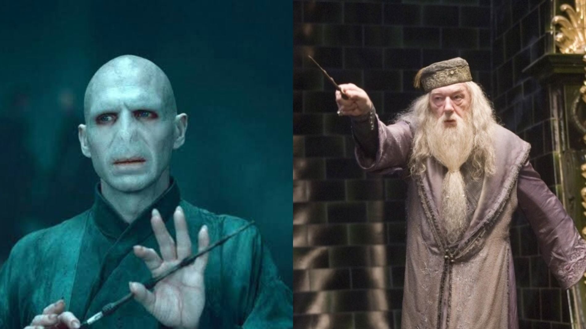 'Harry Potter': La realidad paralela entre Voldemort y Dumbledore que ...