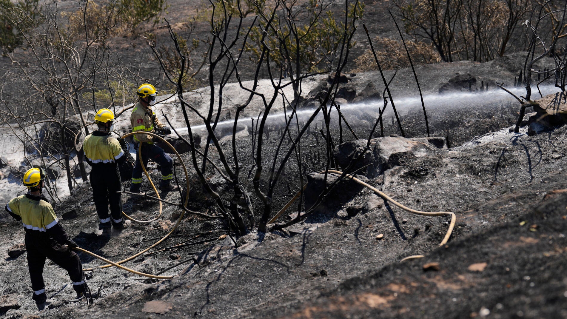 El perfil del pirómano: con desajustes emocionales y bajas habilidades ...