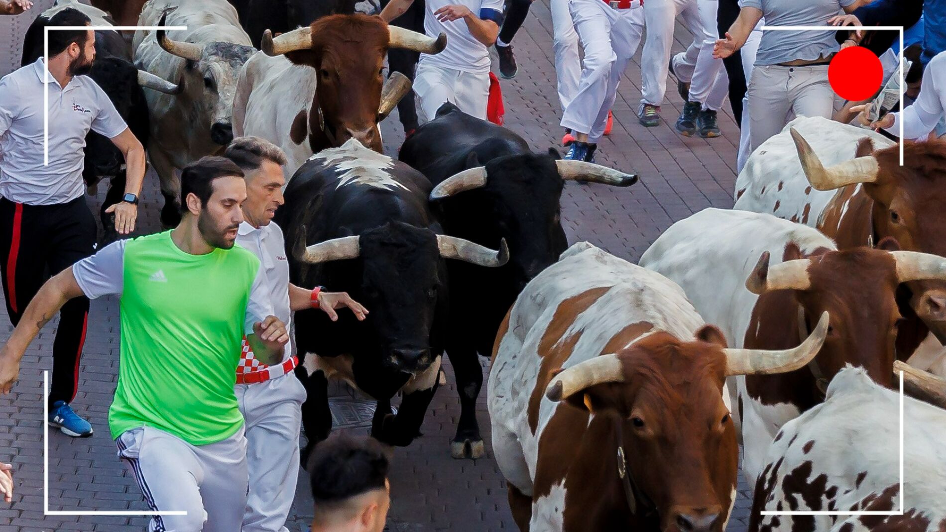 VÍDEO: Sexto encierro de San Sebastián de los Reyes 2022
