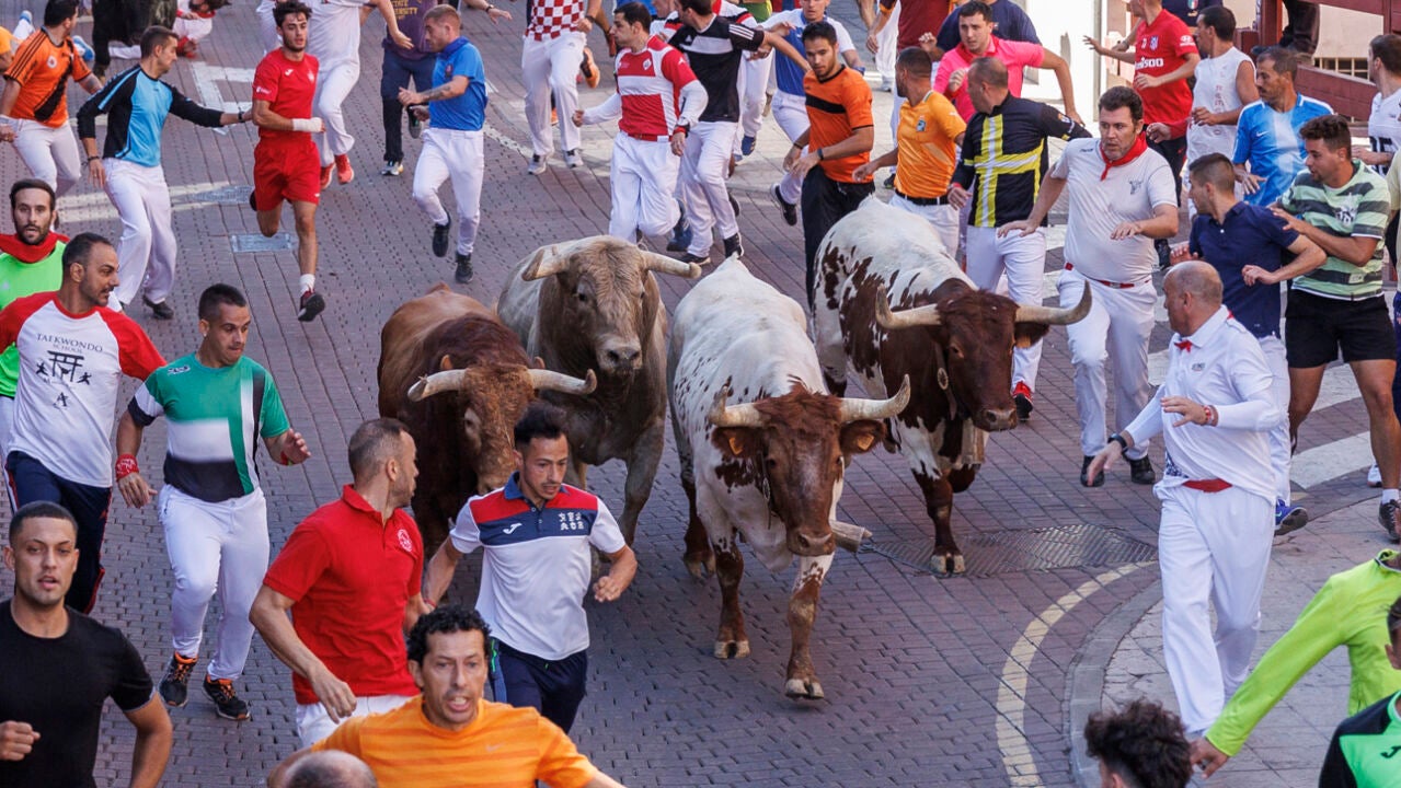 El octavo y noveno encierro de San Sebastián de los Reyes se convierten ...