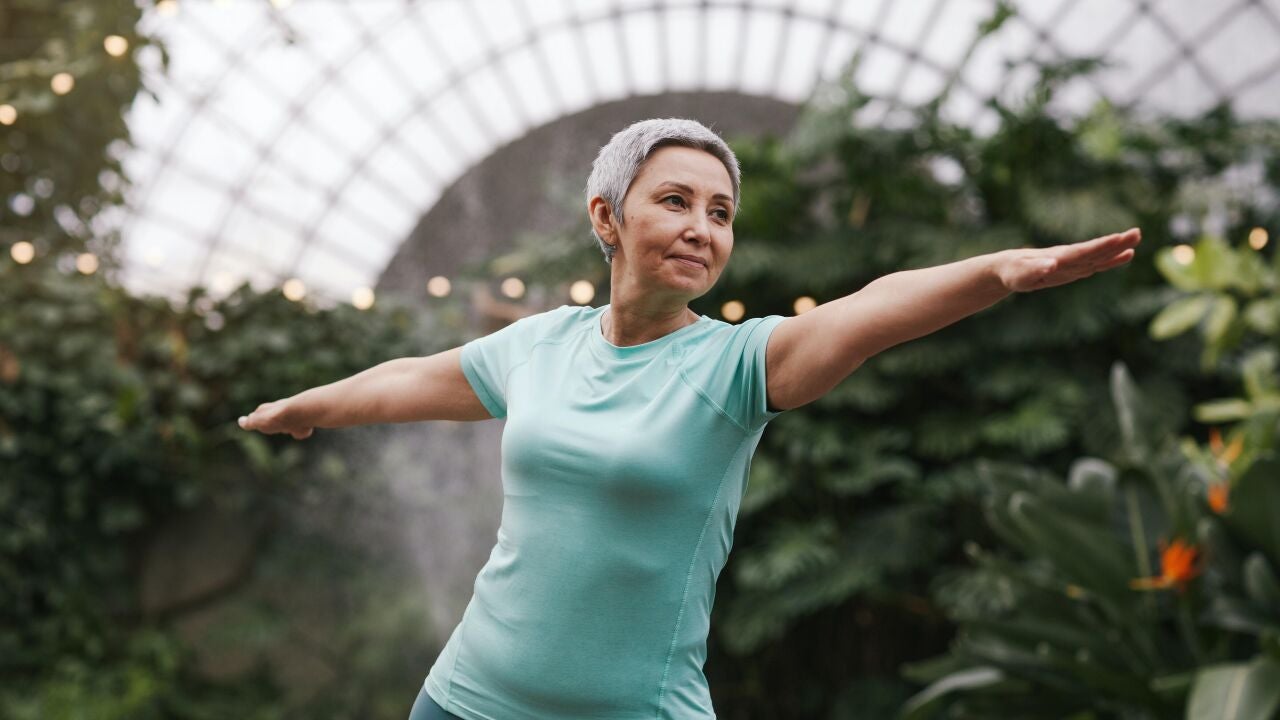 Memoria muscular: Cómo recuperar fácilmente la forma física que tuviste ...
