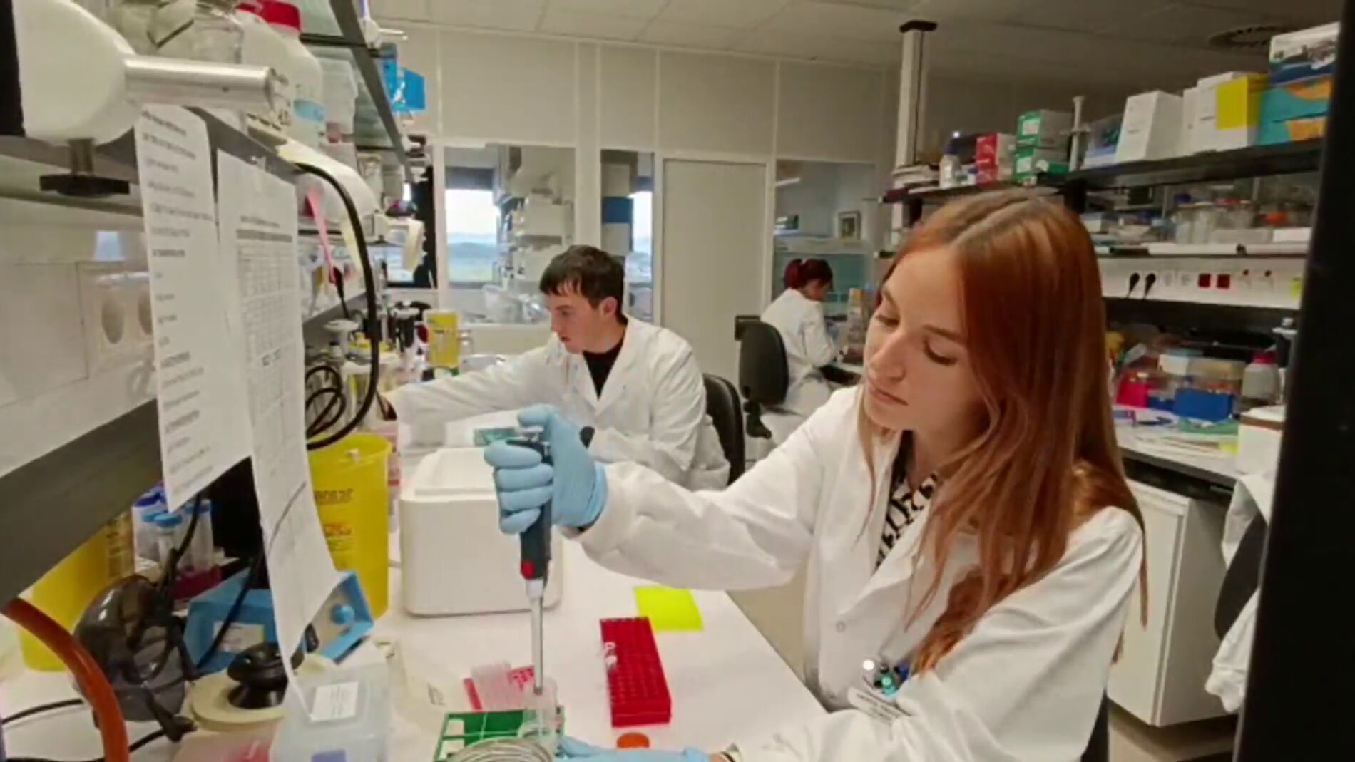 Investigadores españoles descubren el 'talón de Aquiles' del cáncer de ...