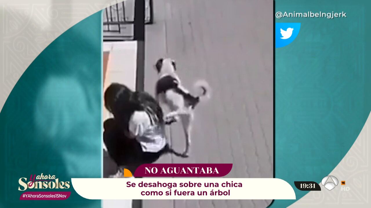 Los vídeos más virales: el uso del móvil en la calle conlleva peligros ...