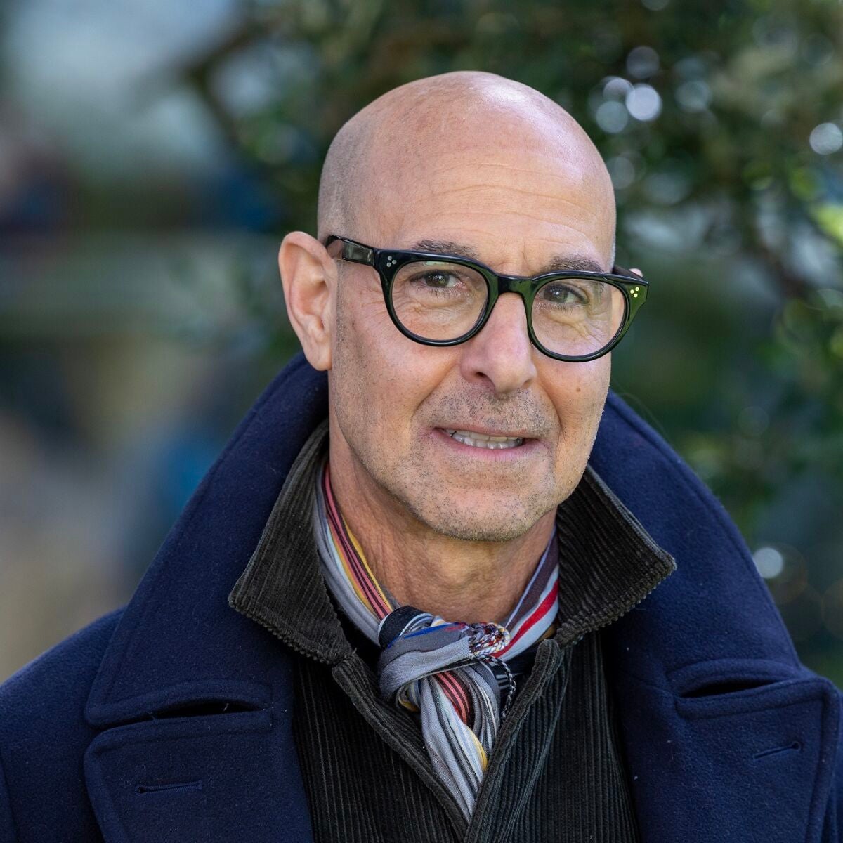 Stanley Tucci, Huesos Preciosos
