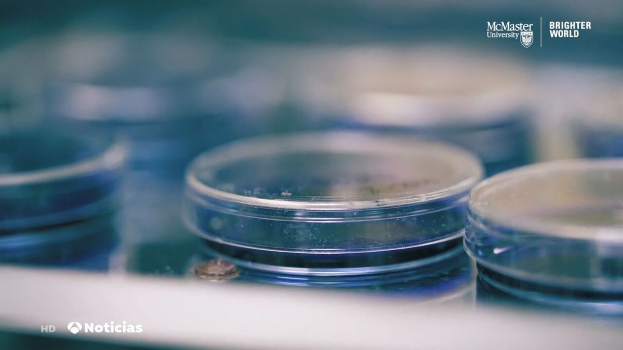 Abaucina, el fármaco descubierto por Inteligencia Artificial que ...