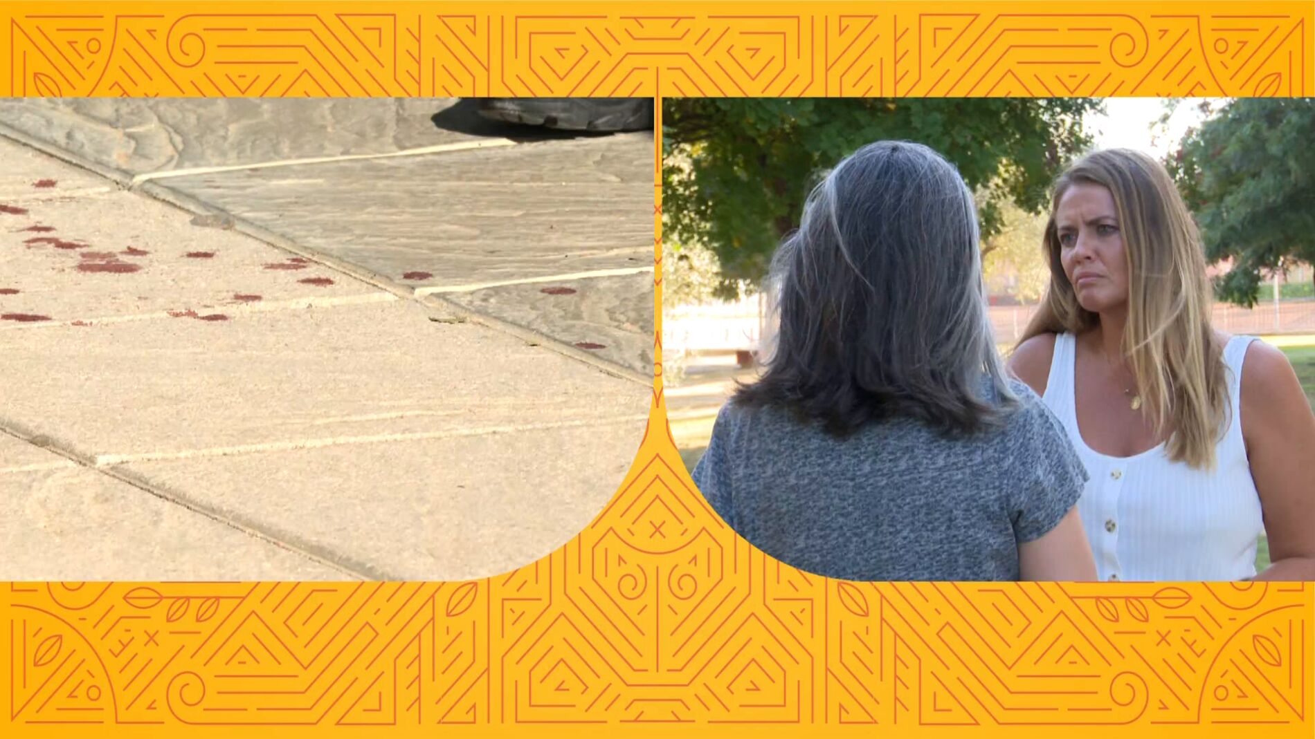 Noelia de Mingo, condenada a 33 años de internamiento psiquiátrico por ...