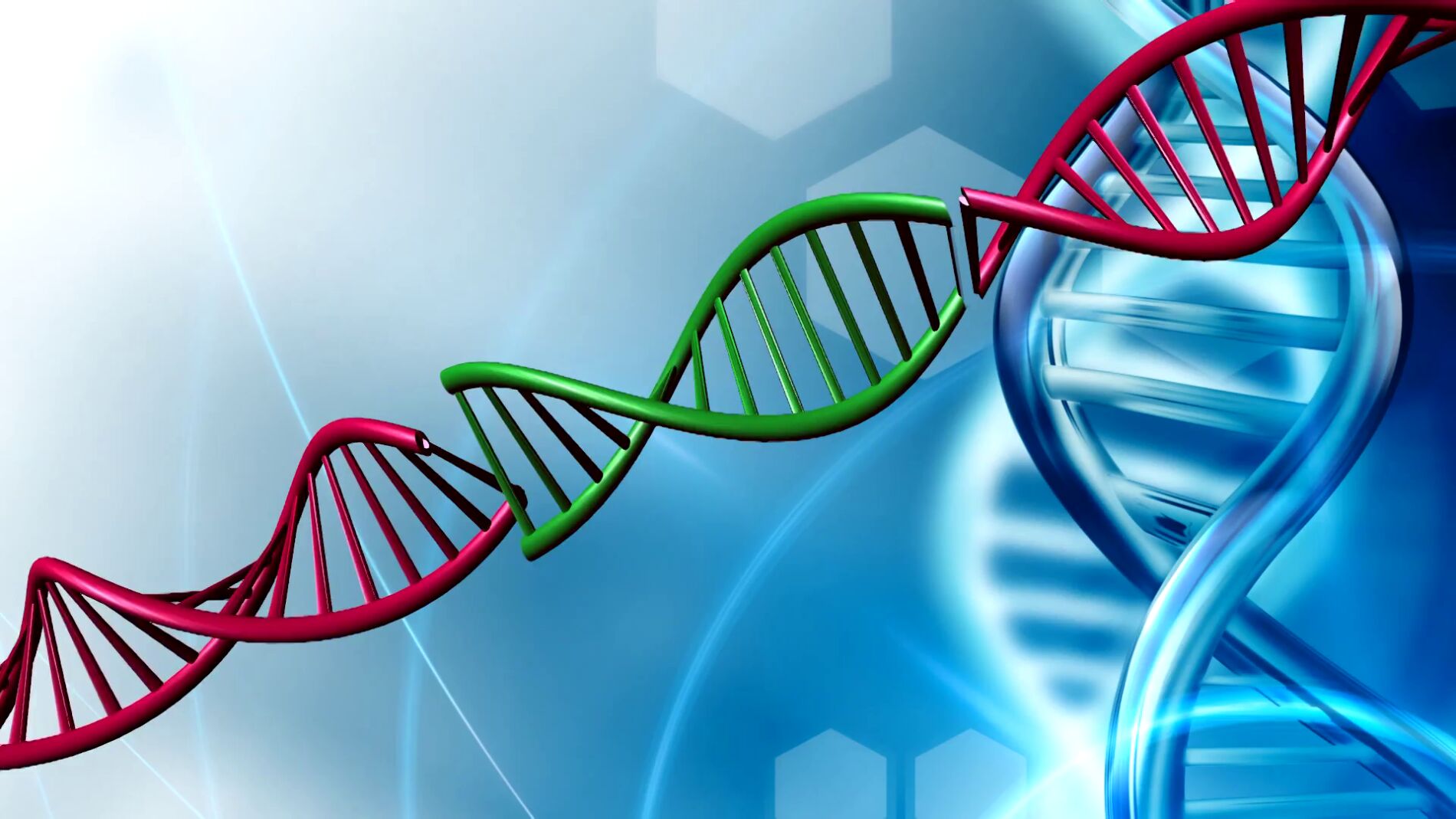 Estados Unidos da luz verde al primer tratamiento mediante tecnología ...