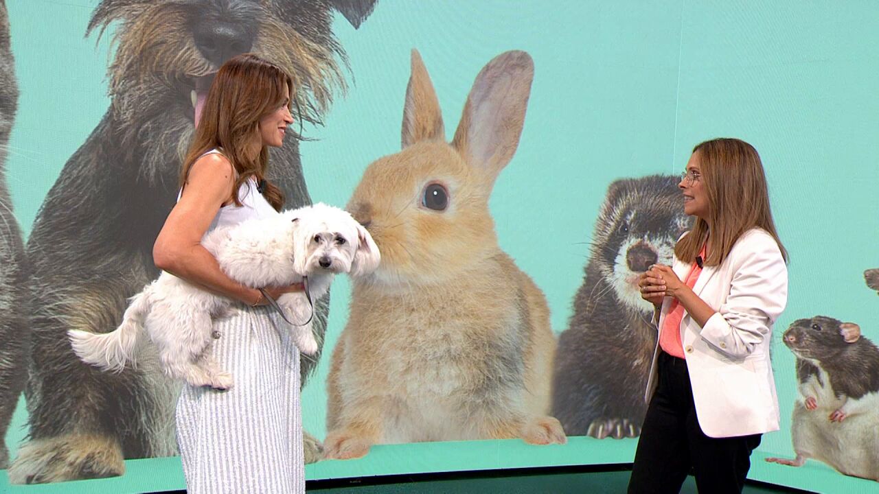 Los beneficios que tiene para los más jóvenes convivir con animales