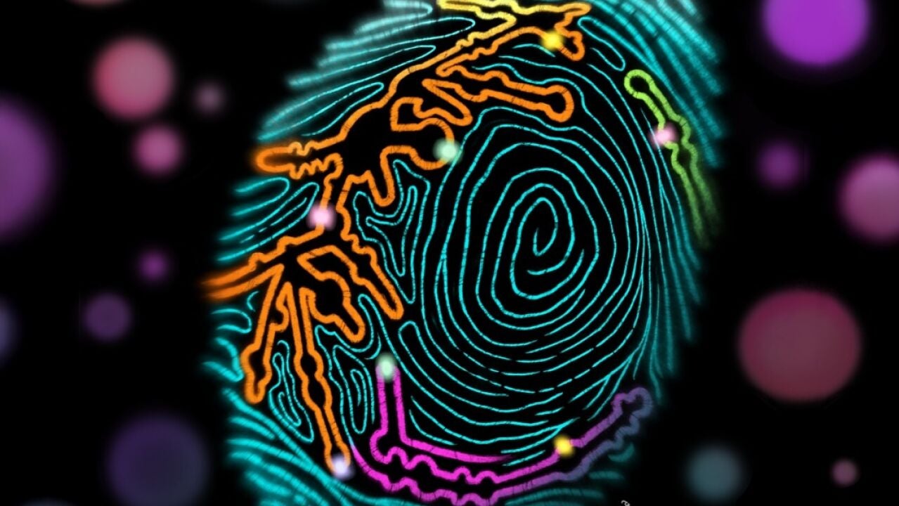 Investigadores españoles descubren qué provoca la evolución del cáncer ...