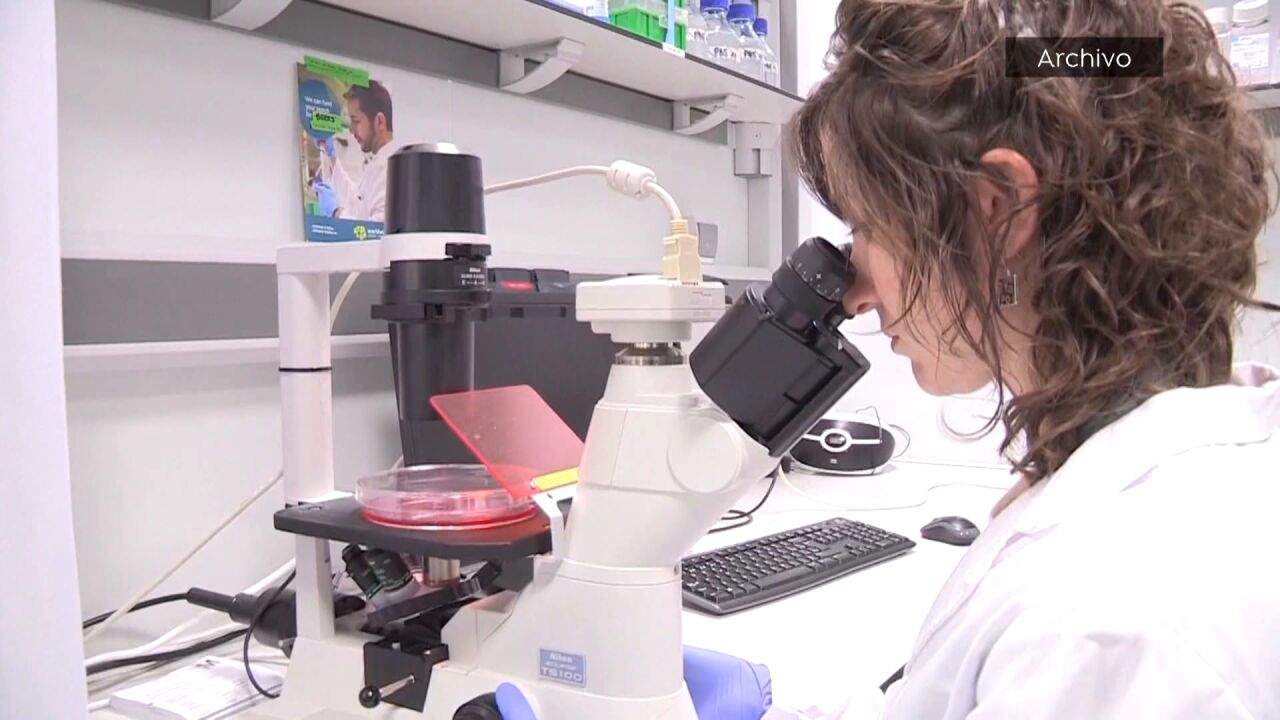 Así es el robot magnético que posibilitaría la biopsia virtual a través ...