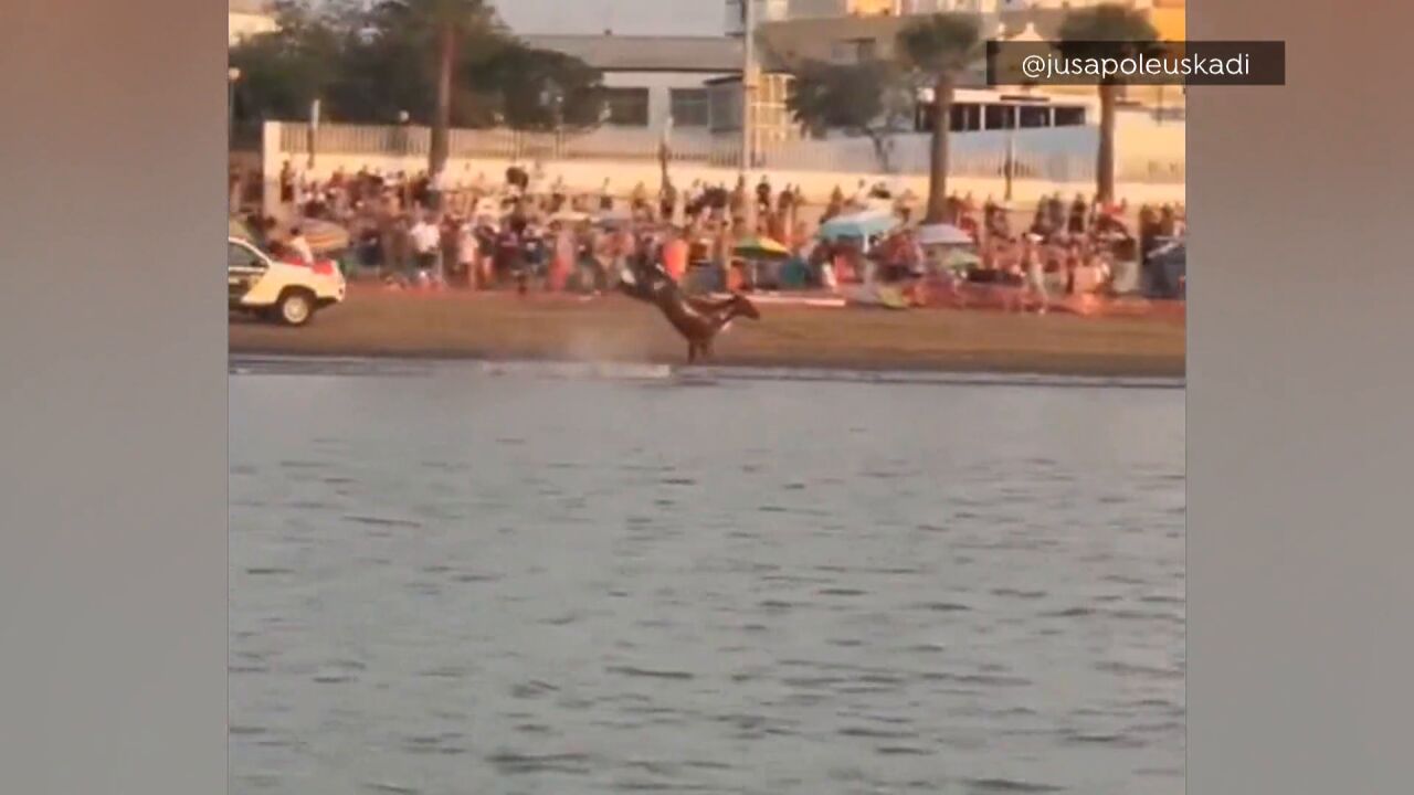 Vídeo: Rescatan del mar a un caballo desbocado en las carreras de ...