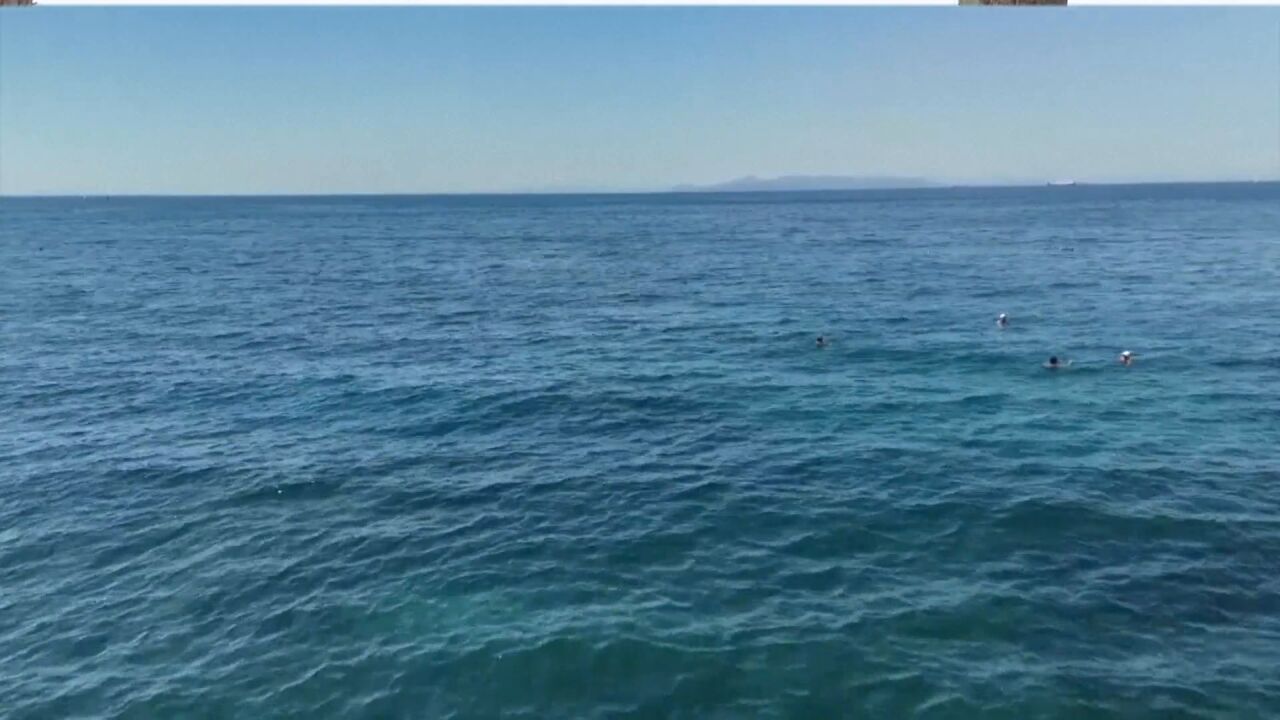 El cambio climático transforma el mar de Alborán y los peces tropicales ...