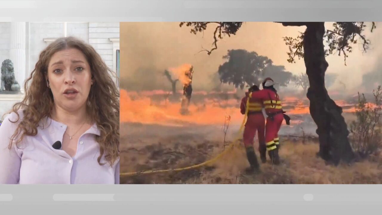Ester Muñoz se pronuncia sobre la gestión de los incendios: "No estamos ...