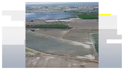 La lechuga y el aceite virgen, principales damnificados de Josef y Kristin