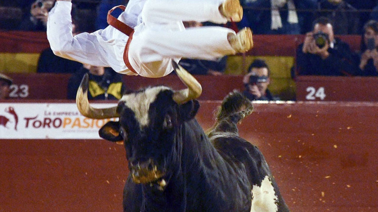 Fallece el temido toro 'Ratón'