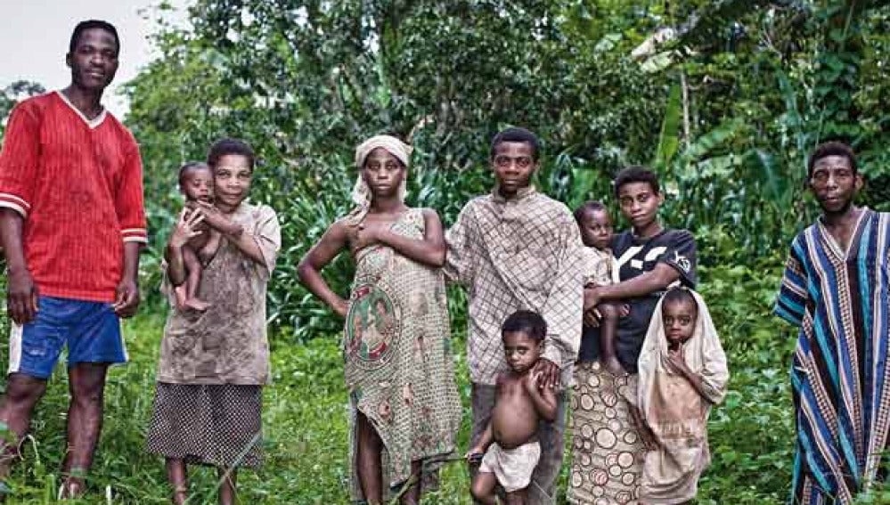 Identifican los genes que hacen que los pigmeos africanos sean enanos
