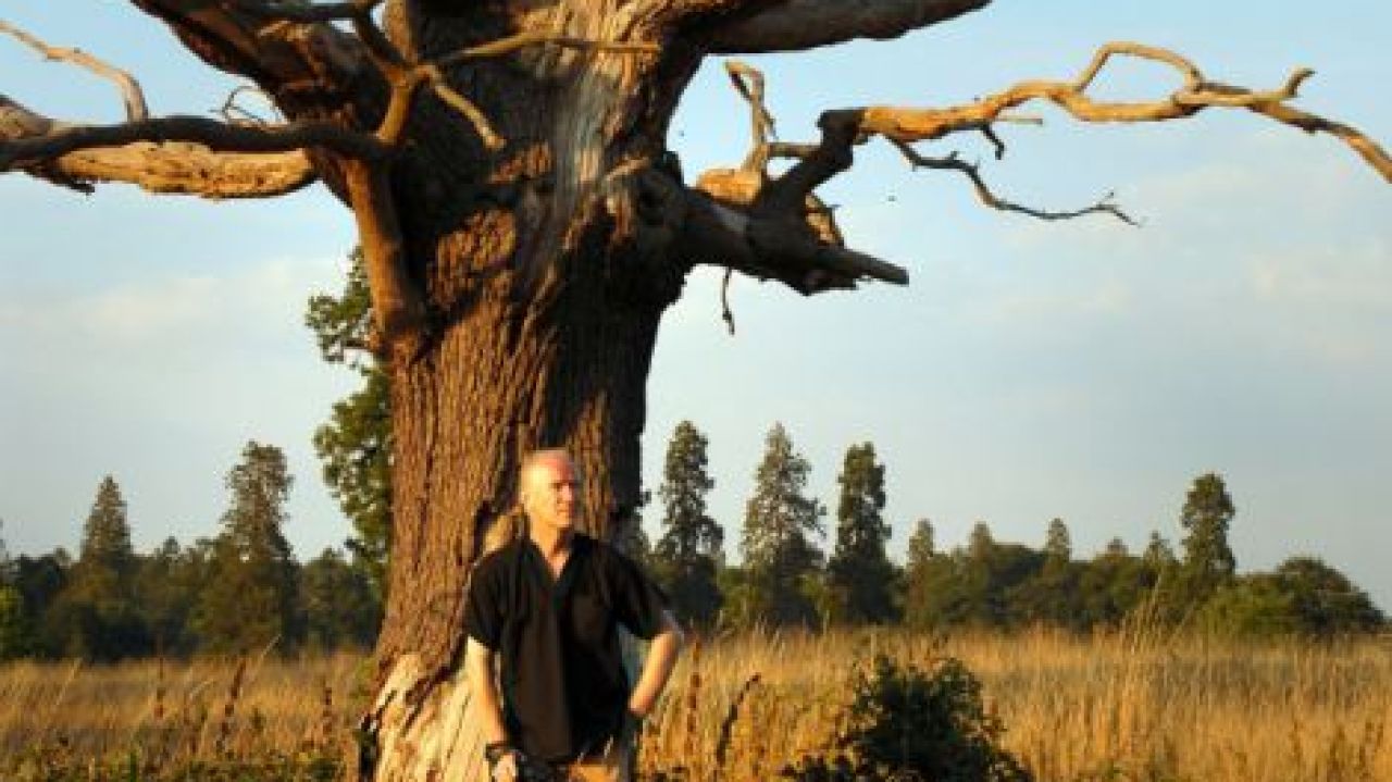 Siete años fotografiando un arbol muerto