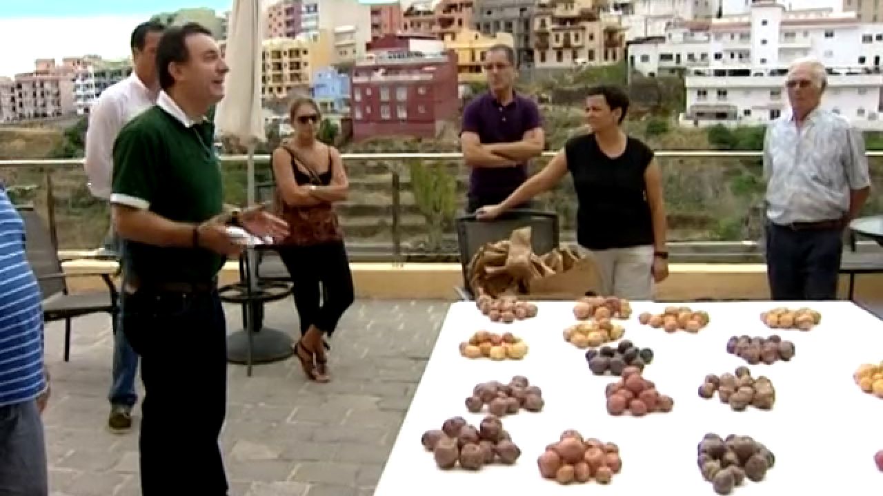 15 variedades de papa bonita a cata