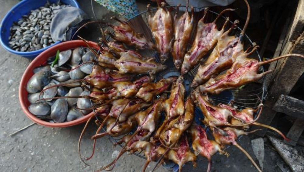 Un restaurante vietnamita ofrece ratas trinchadas a la brasa