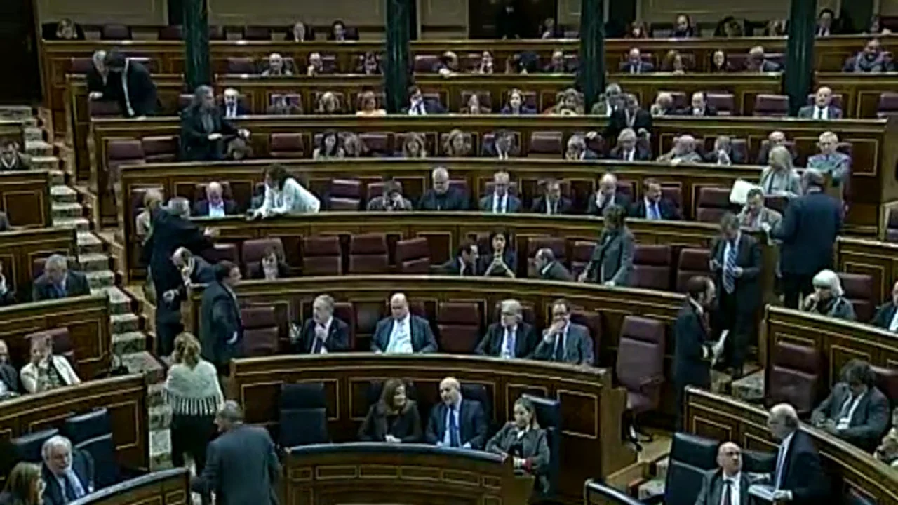 Caras Nuevas Entre Los 15 Diputados Elegidos En Canarias