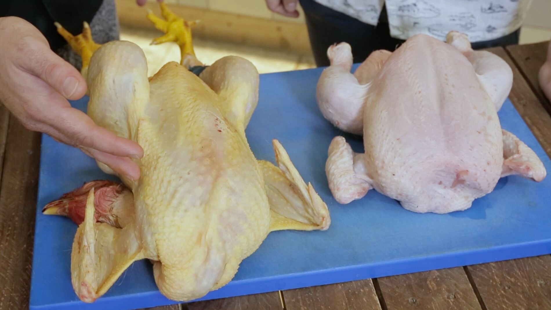 Cocinamos pollo normal y pollo ecológico: estas son las diferencias ...
