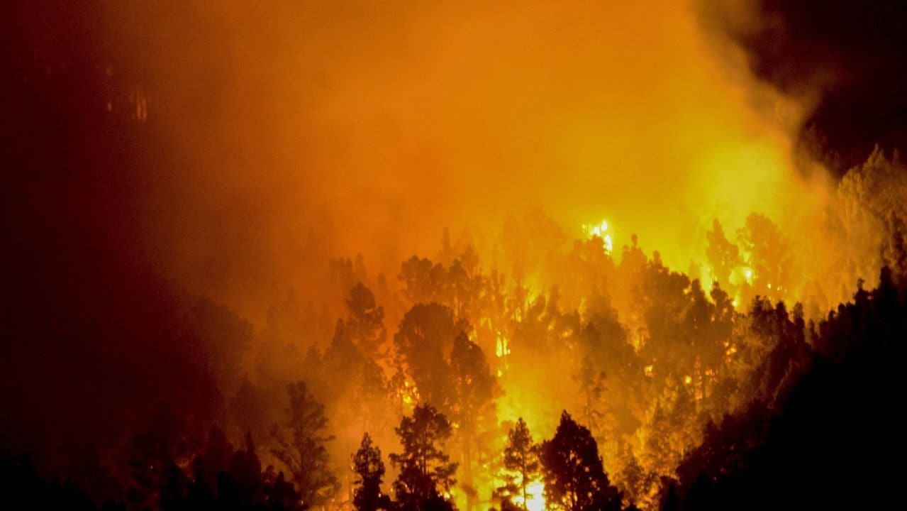 Arde el sur de Nueva Jersey: más de 8.000 acres arrasados y 25.000 ...