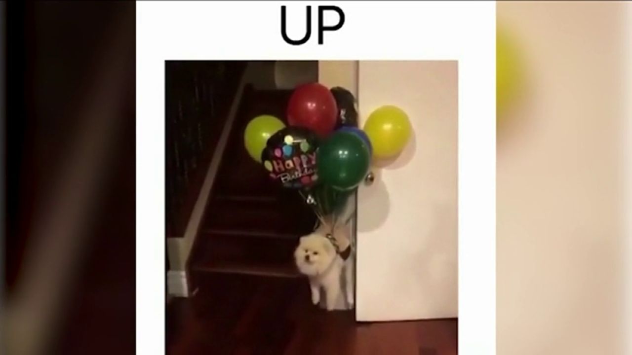 Los 'memes', una práctica cada vez más común que empieza a convertirse ...