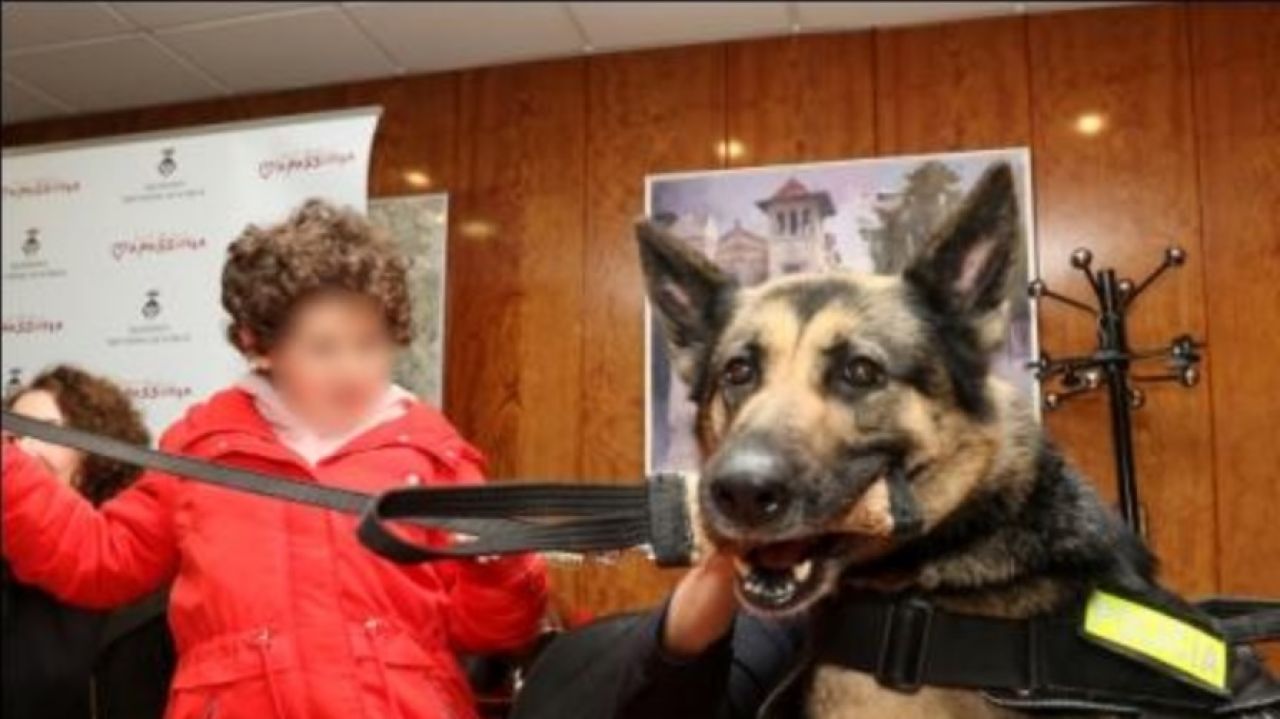 Impulsan la terapia con perros para niños autistas en Sant Andreu de la ...