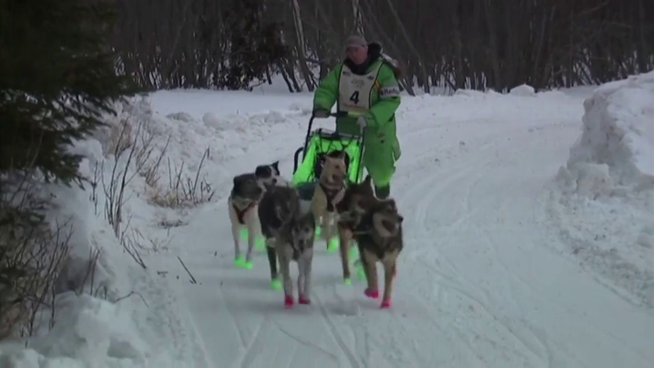 Celebran en Minnesota una de las carreras de trineo tirado por perros ...
