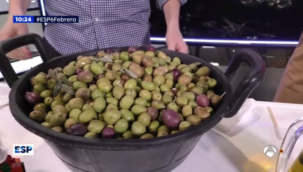 Hacemos el recorrido de las aceitunas desde que caen del árbol hasta ...