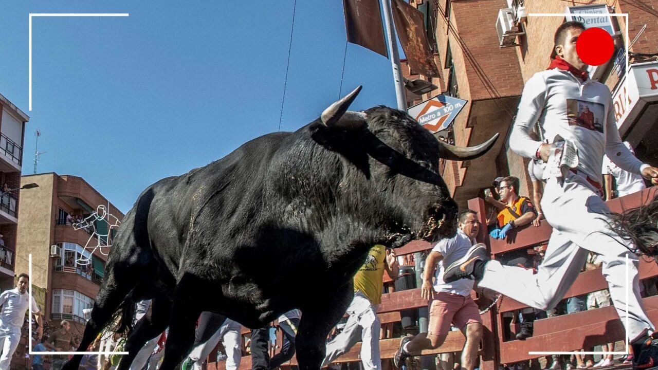 Tercer encierro de San Sebastián de los Reyes 2022 en vídeo