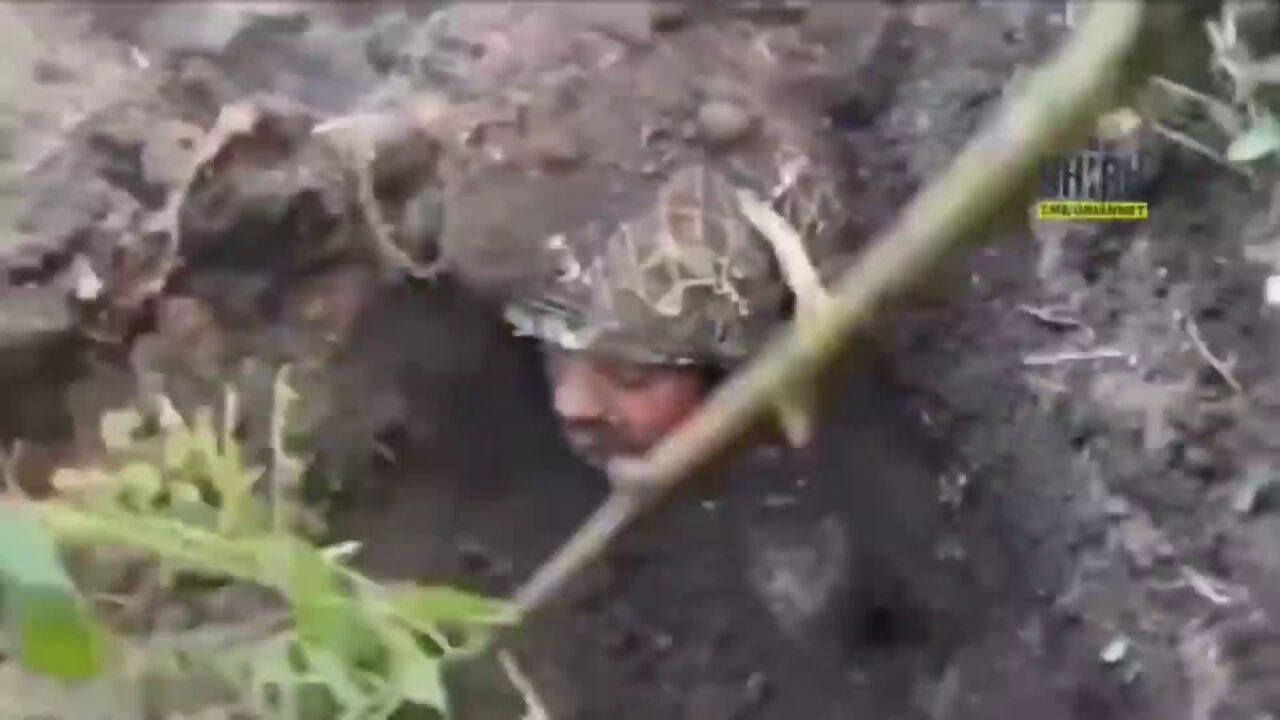 El impactante vídeo que muestra a soldados ucranianos liberando con sus ...